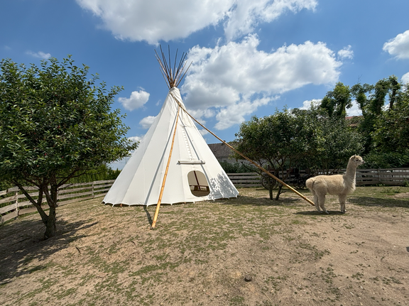 Adams Alpaka Farm - Verliebt in ein Alpaka
