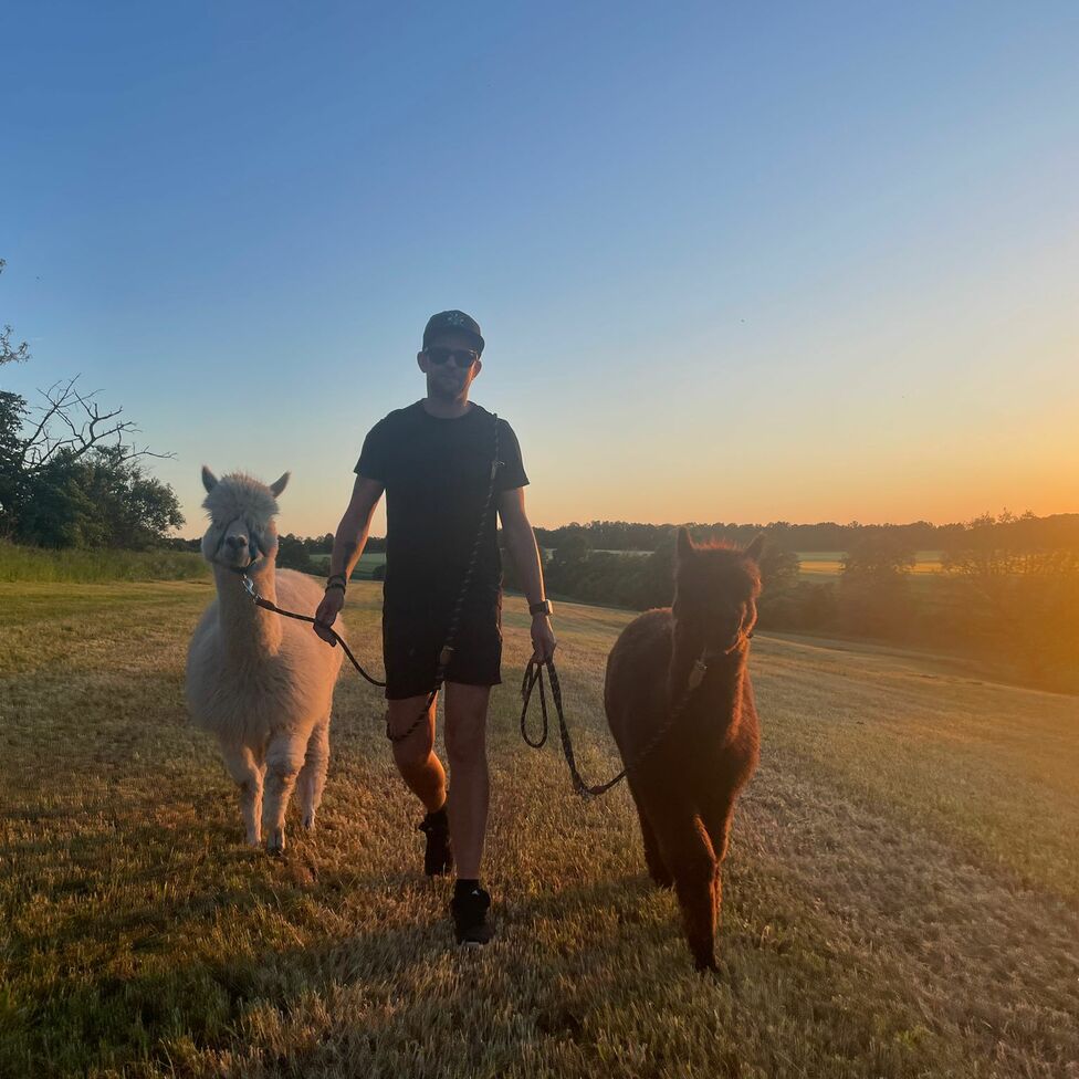 Adams Alpaka Farm - Verliebt in ein Alpaka